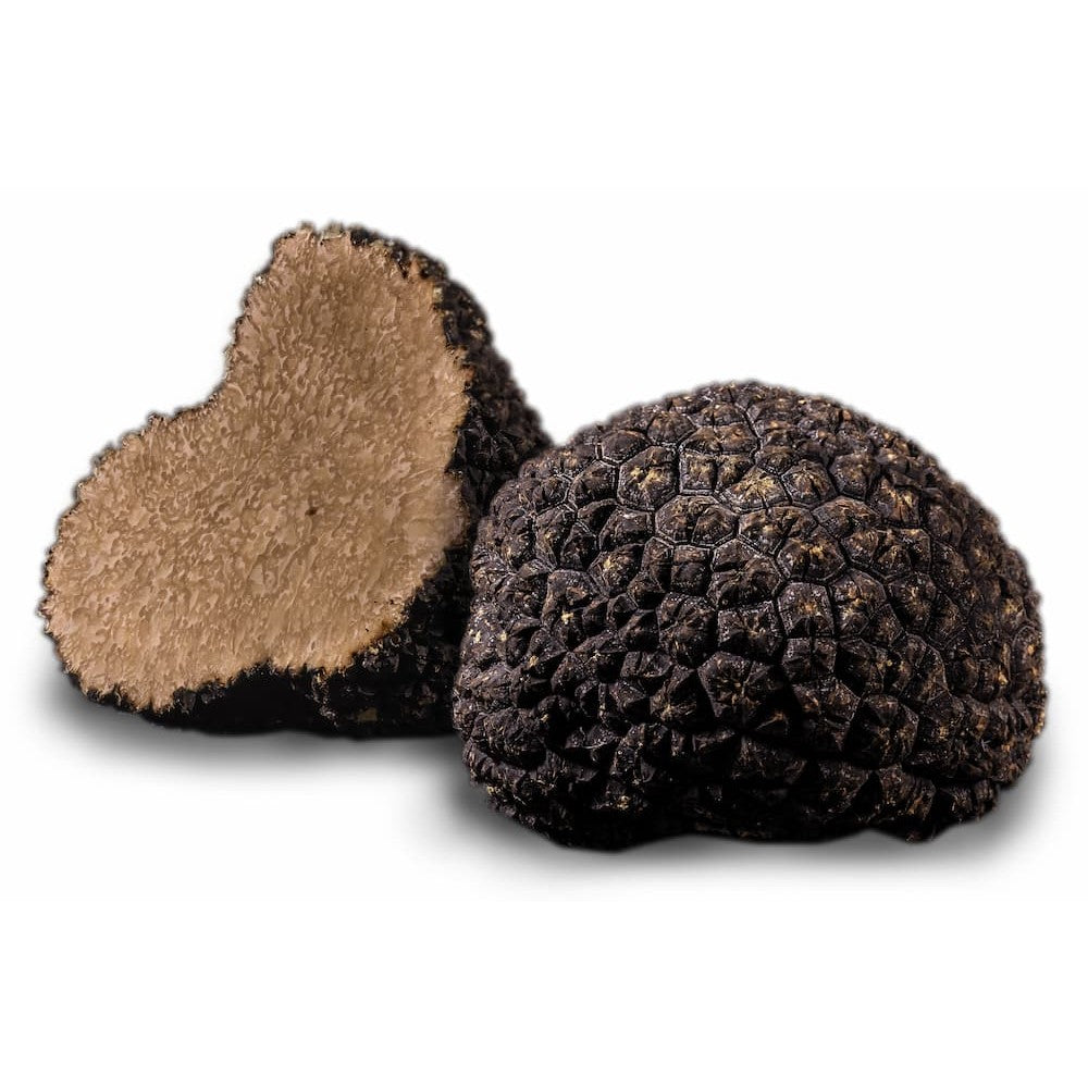 Buy Fresh Whole Summer Truffle | Truffle | Zouf.biz